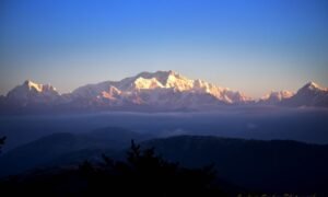 Home - Adorable Silkroute